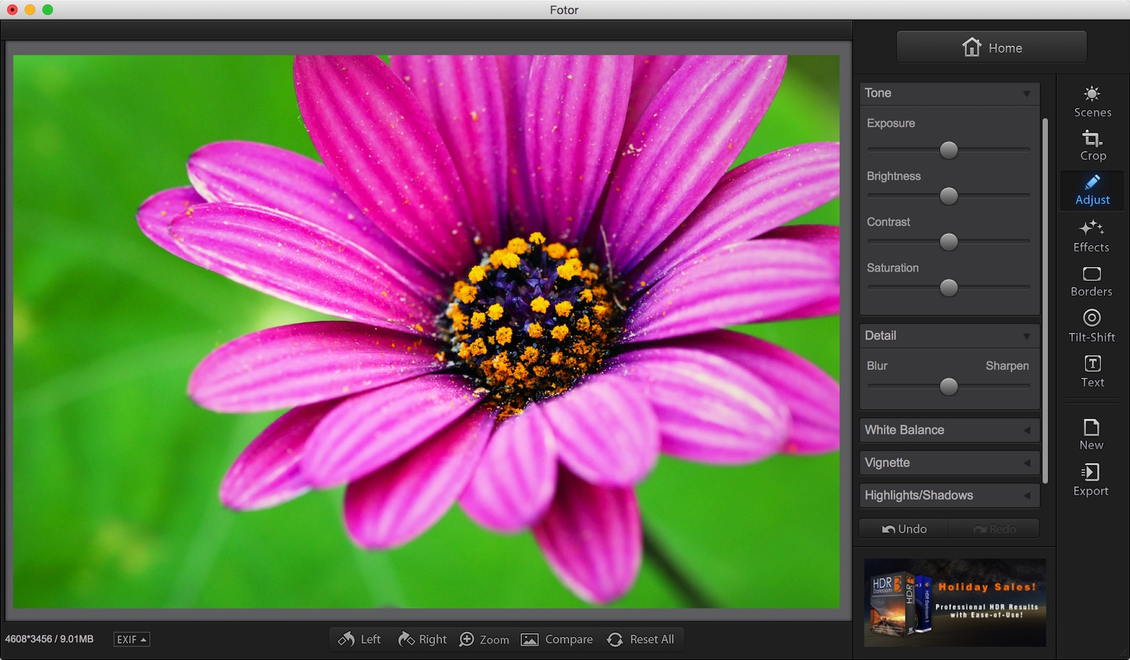 Fotor Image Editor It s Fun And It s Free The Digital Story