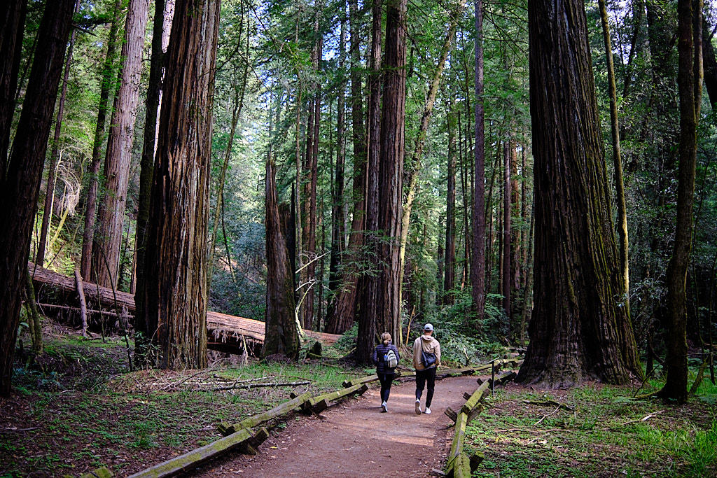 Going Wide with the X100 and the WCL-X100 II Wide Conversion Lens - The Digital Story